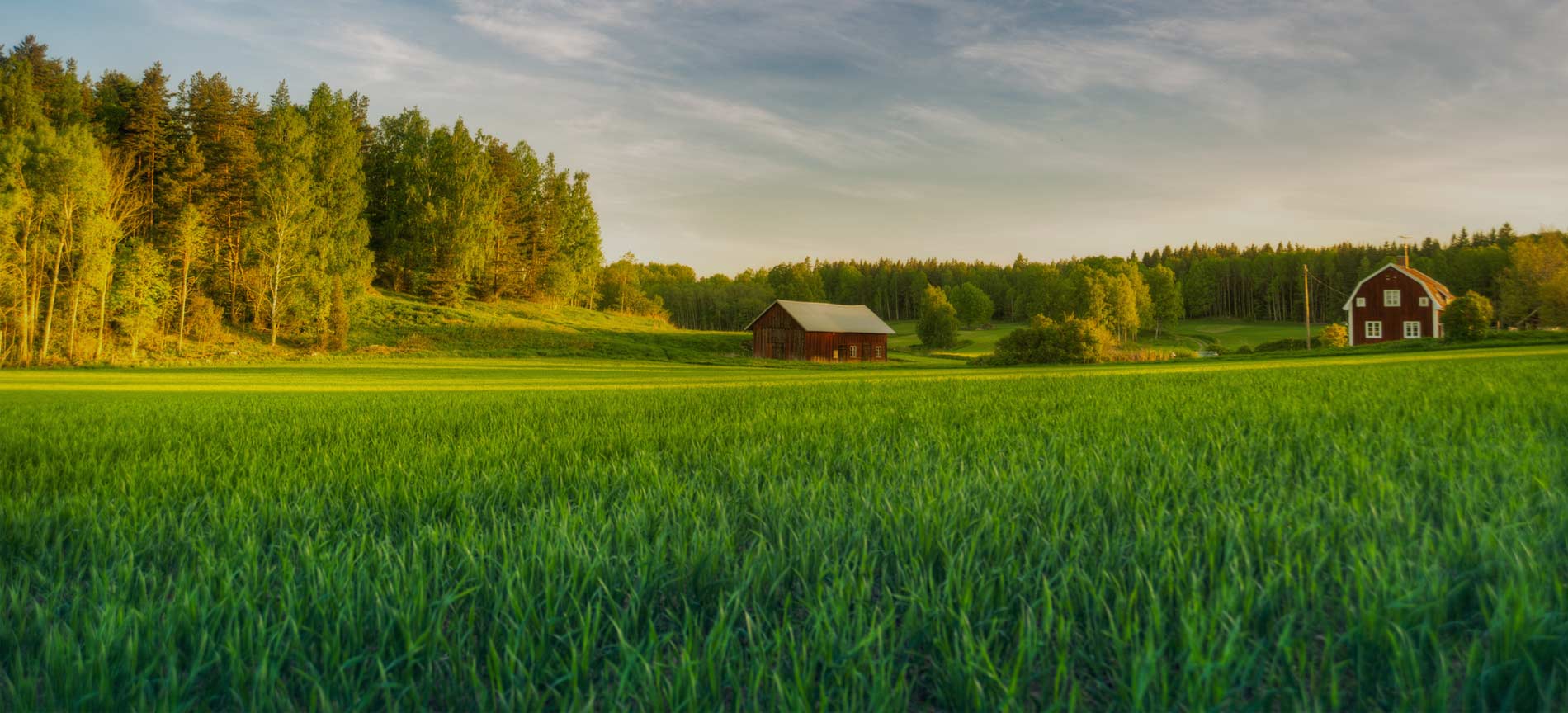 A European agenda for rural, mountainous and remote areas - Rural Energy